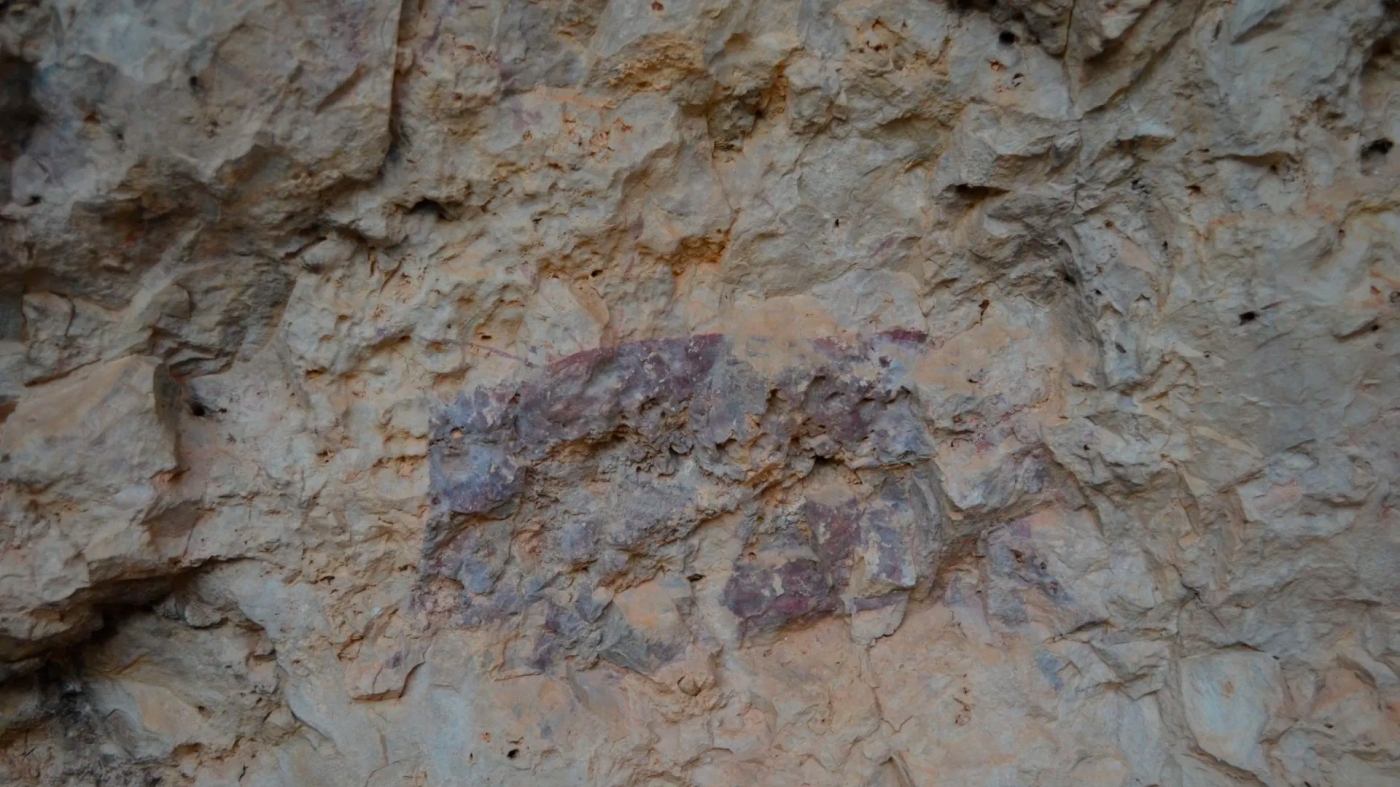 Pinturas rupestres de Palanques - Viu els Ports