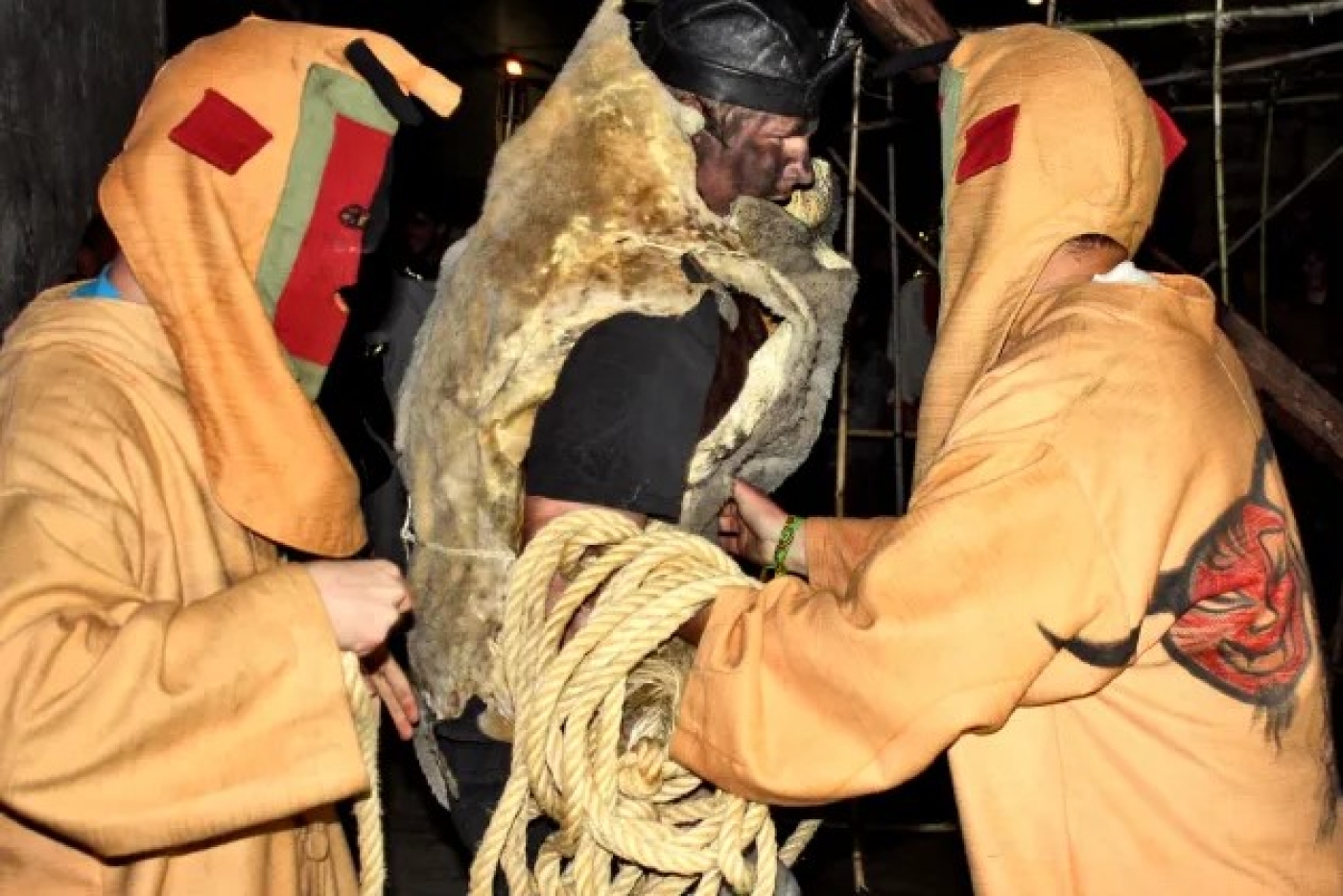 La larga hibernación del Onso - Viu els Ports